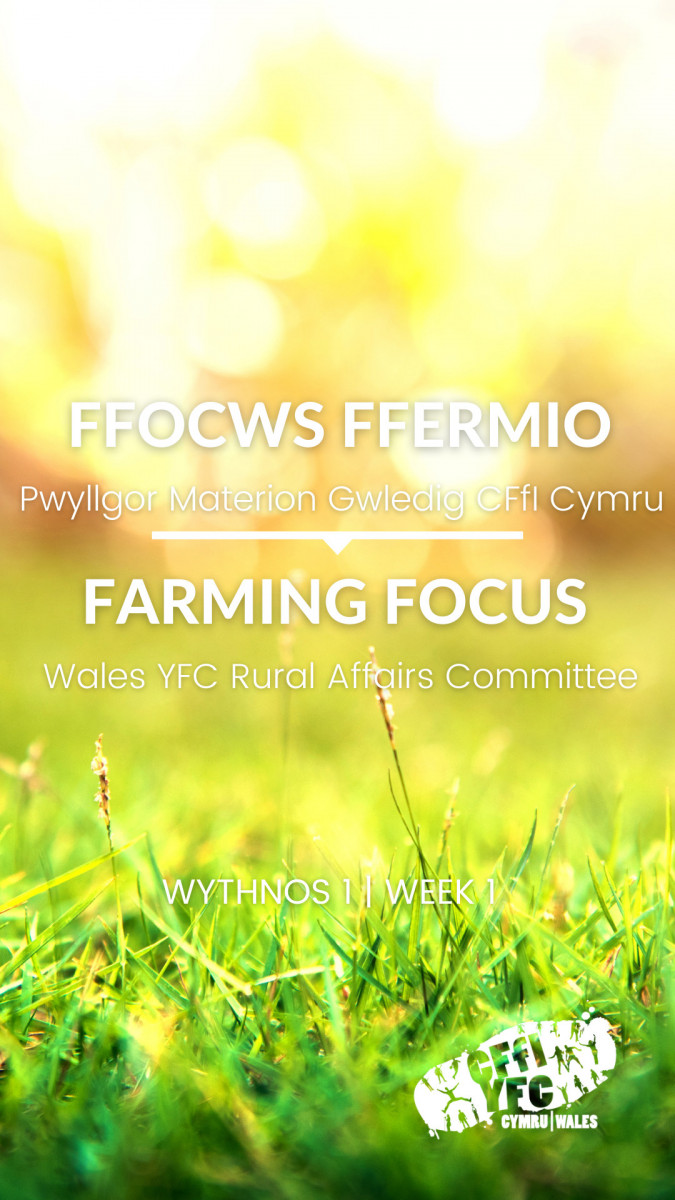 Farming Focus in the countdown to Wales YFC 2021 Rural Affairs ...