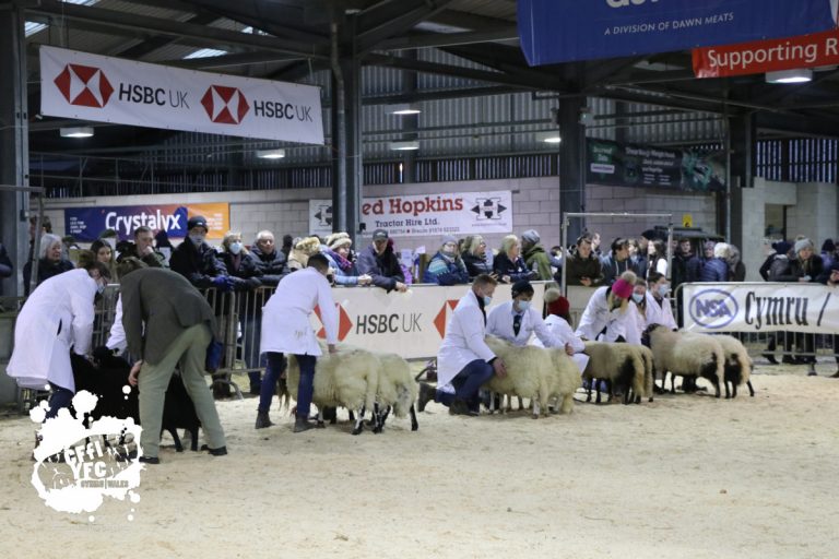 Winter Fair - Wales YFC