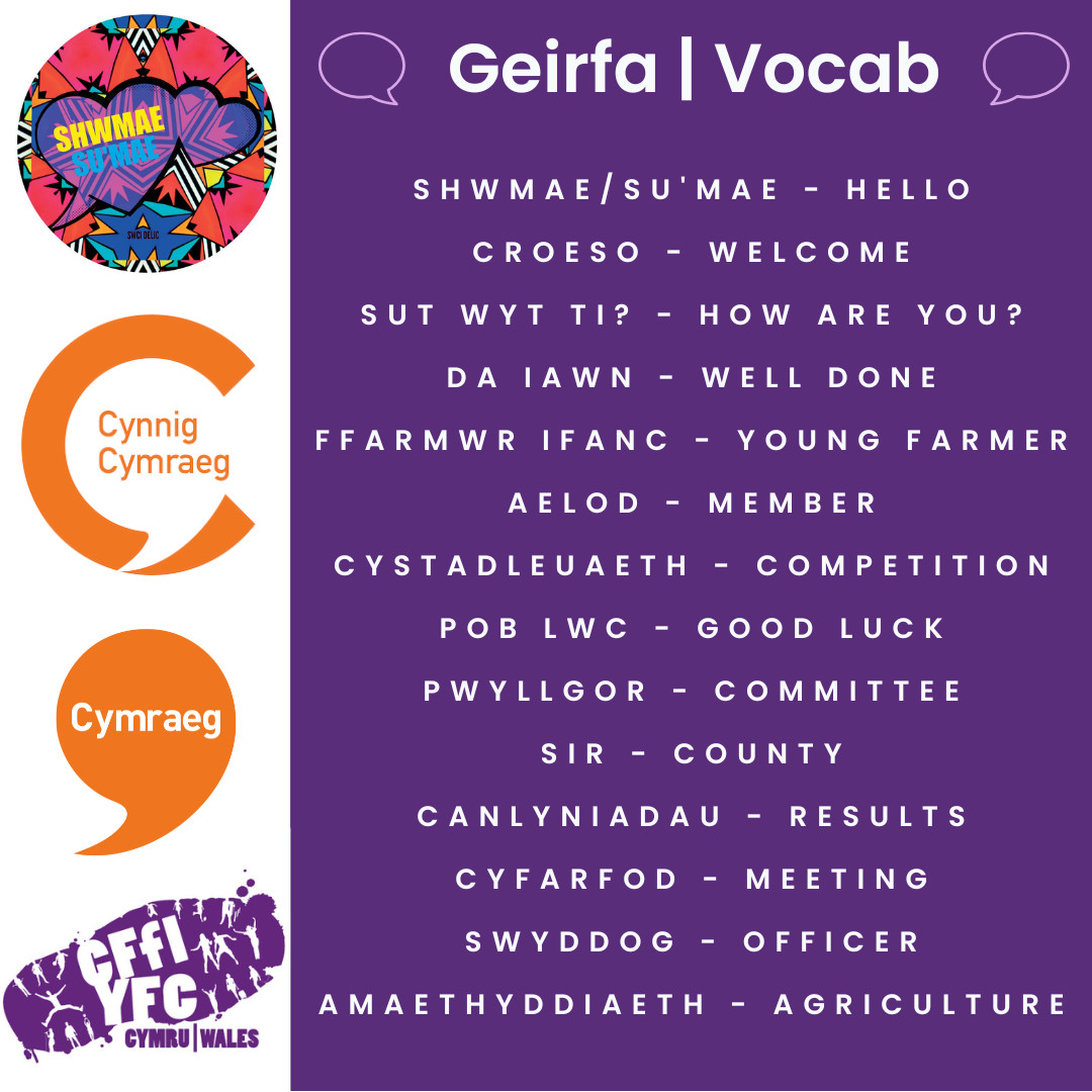 Learn Welsh - Wales YFC