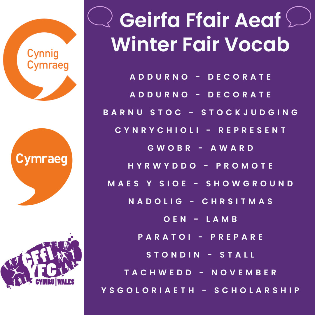 Learn Welsh - Wales YFC