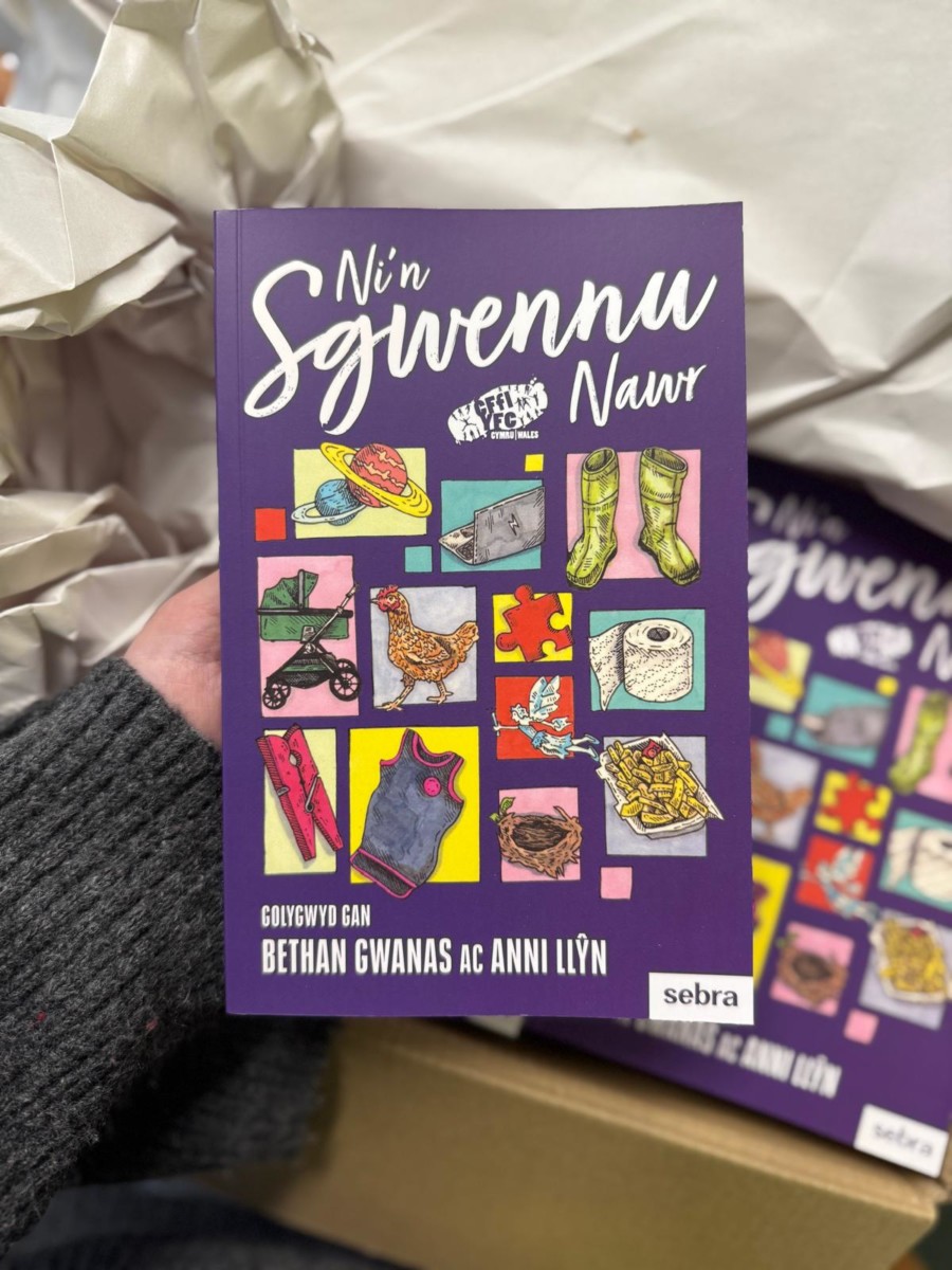 Announcing 'Ni’n Sgwennu Nawr' – A New Literary Voice from Welsh Rural ...